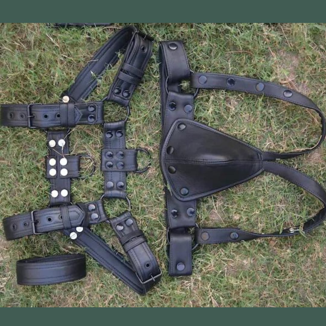 HEAVY DUTY REAL LEATHER MENS HARNESS WITH THONG JOCKSTRAP– Darkshadow ...