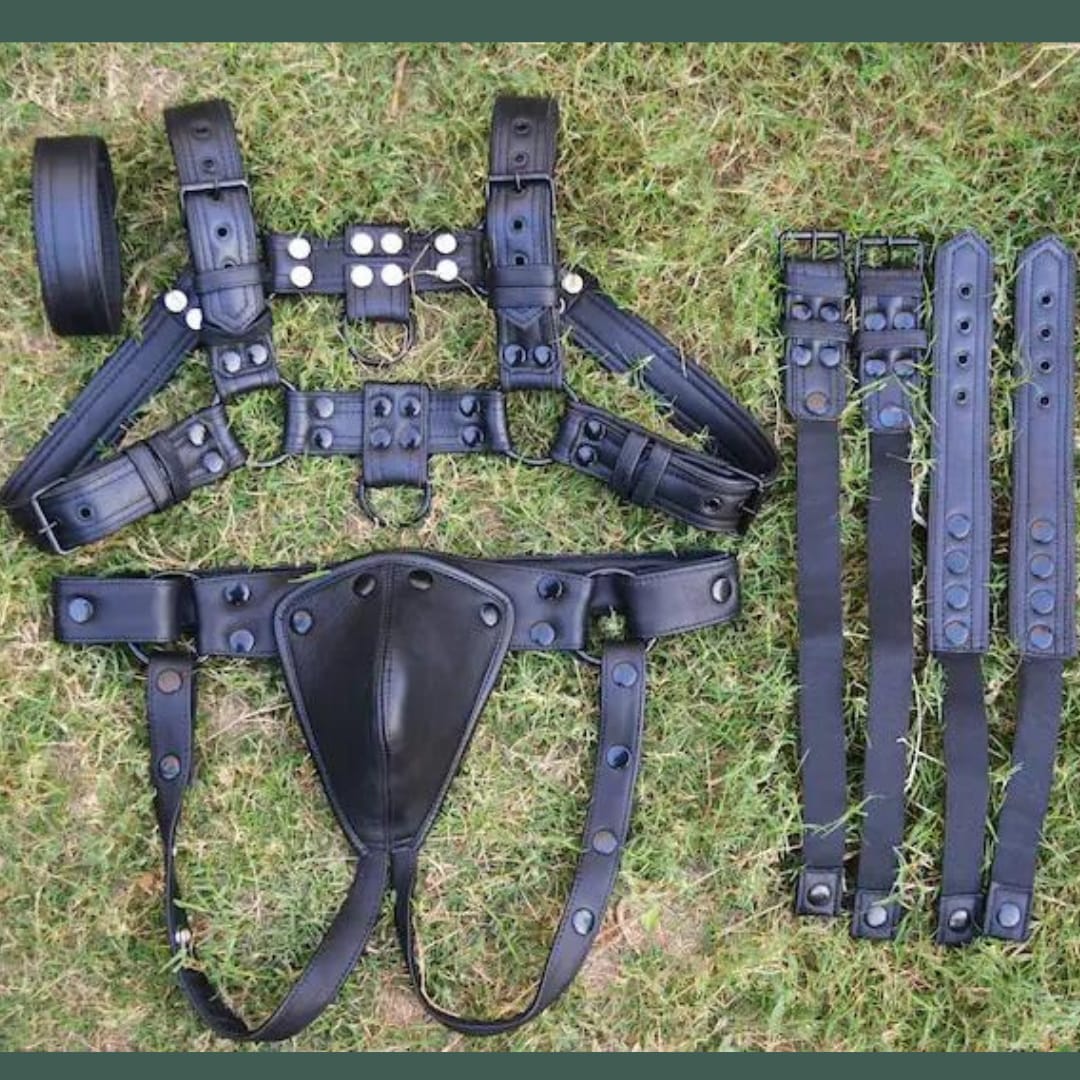 HEAVY DUTY REAL LEATHER MENS HARNESS WITH THONG JOCKSTRAP– Darkshadow ...